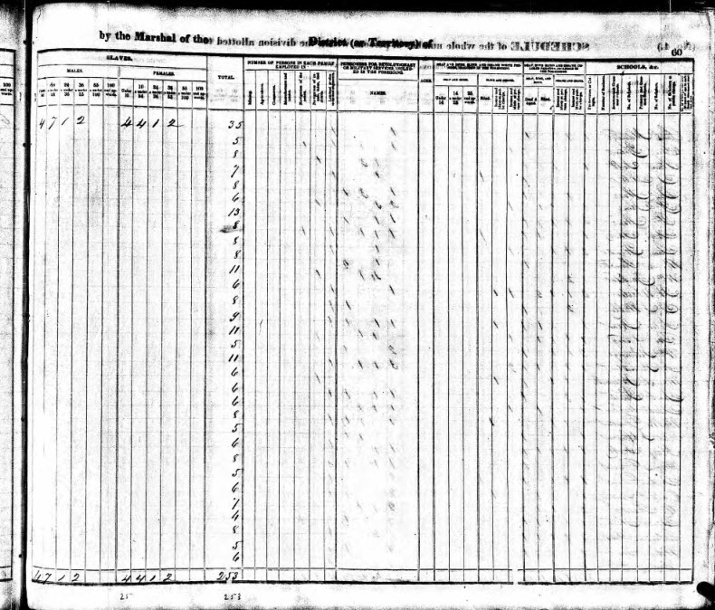 Analyzing Census Anomalies—and Why We Should | Evidence Explained